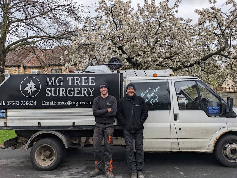 Why Tree Health Assessments Matter